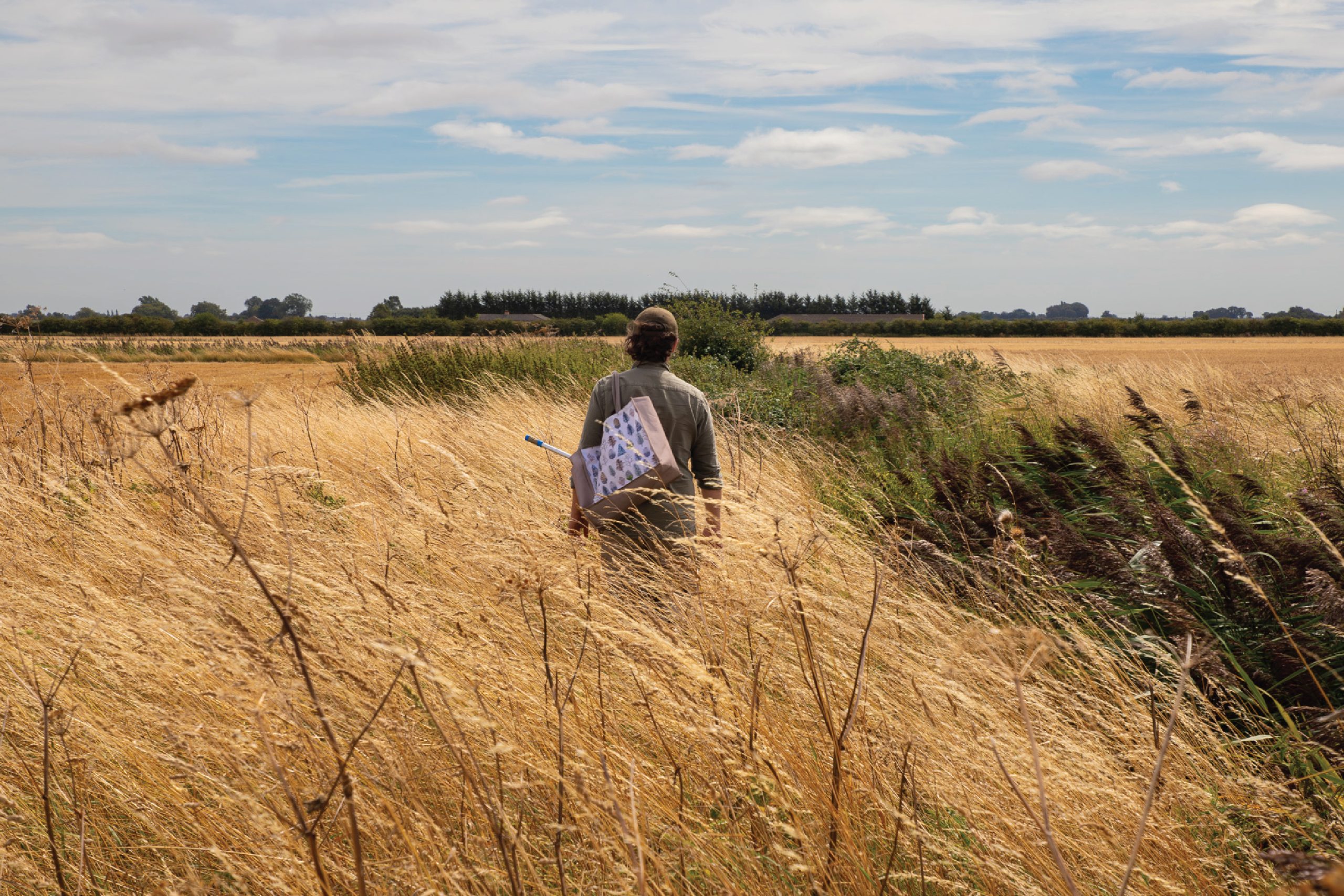 The influence of the climate-nature-people nexus on land use - LUNZ Hub