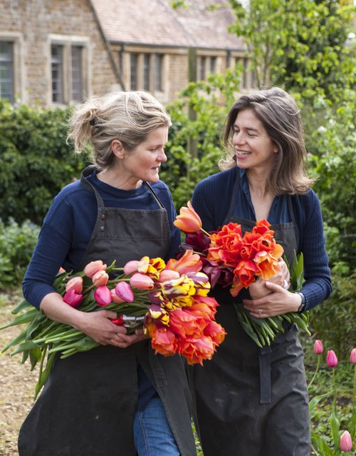 Ten things we learned about bringing soil to the public with Bridget ...