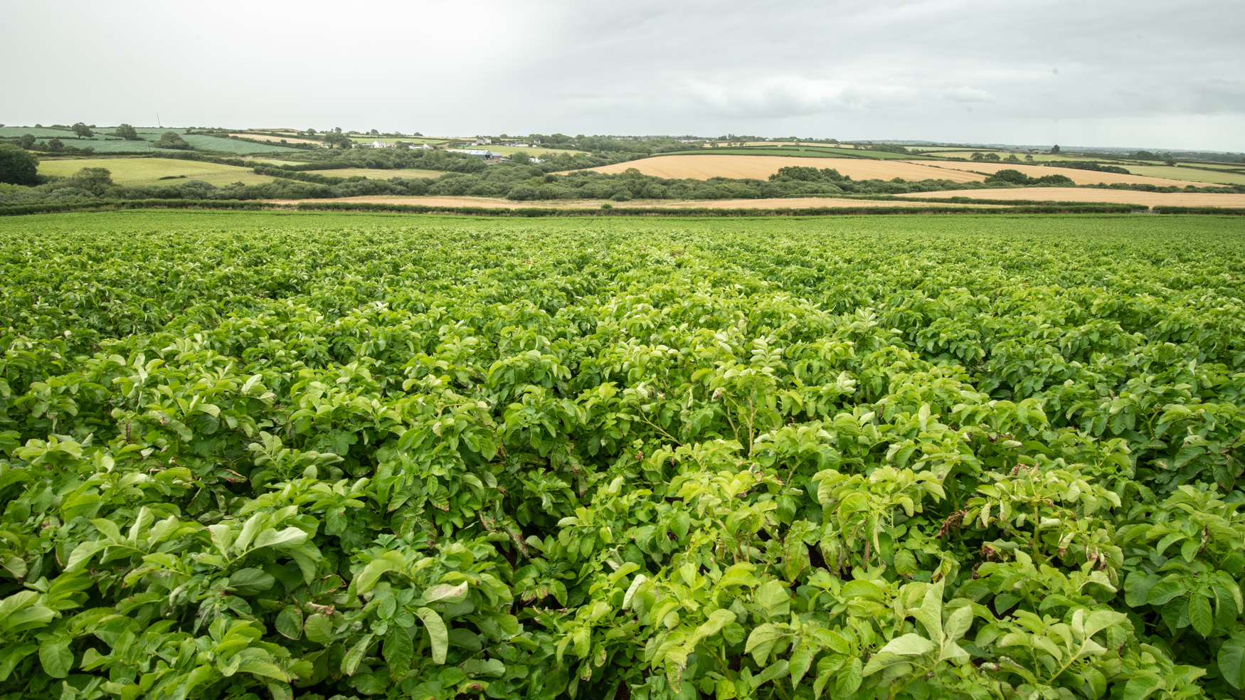 Land Use Decision Making in the UK & Ireland: What can countries learn ...