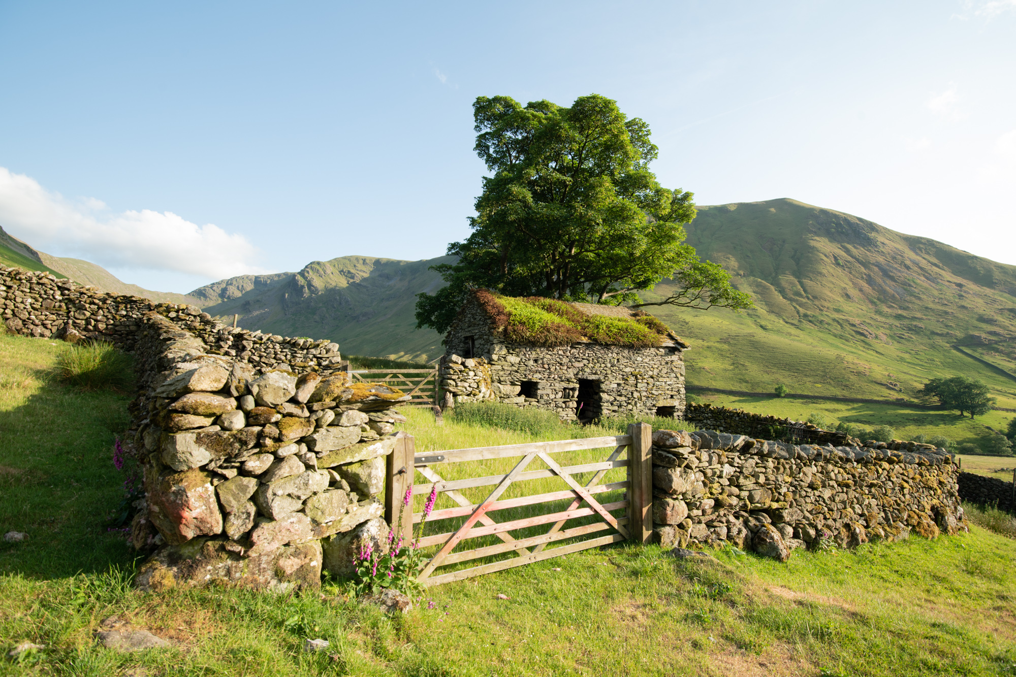 Rural Communities, Land Use Change and Net Zero - LUNZ Hub